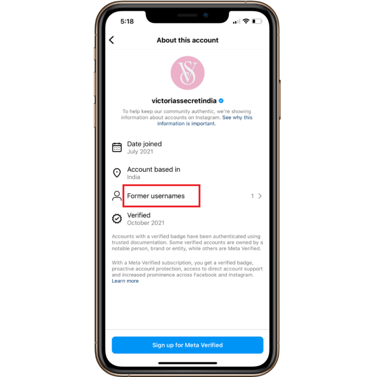How To See Past Usernames on Instagram? [Easy Guide]