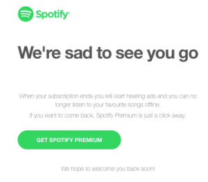 Experiencing Ads on Spotify Premium? [Reasons & Fixes]